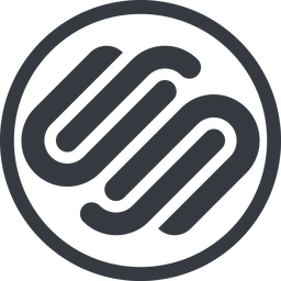 Squarespace icon by Friconix (fi-cnluxl-squarespace) line,normal,circle,logo,brand,website,blog ...
